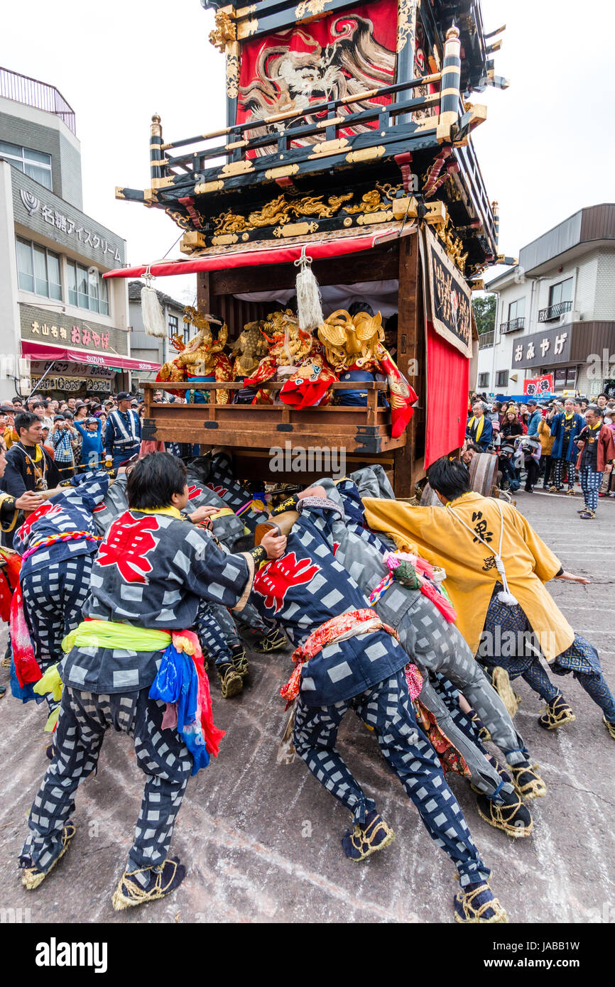 Inuyama festival in Japan. Team of men pulling and pushing to turn huge ...