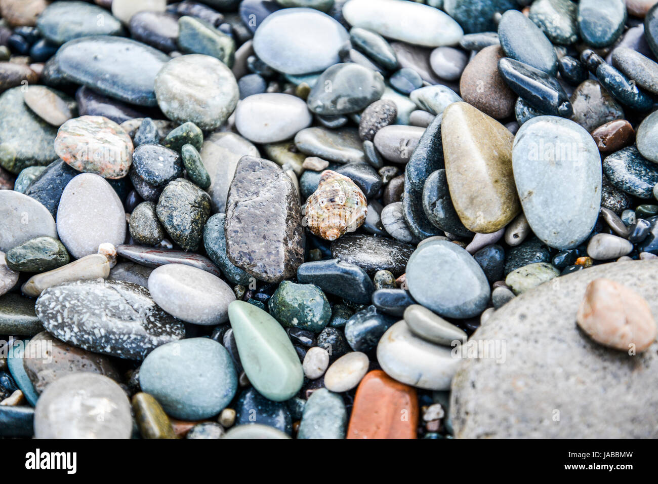 Texture of rock, stone on a a beach Stock Photo - Alamy