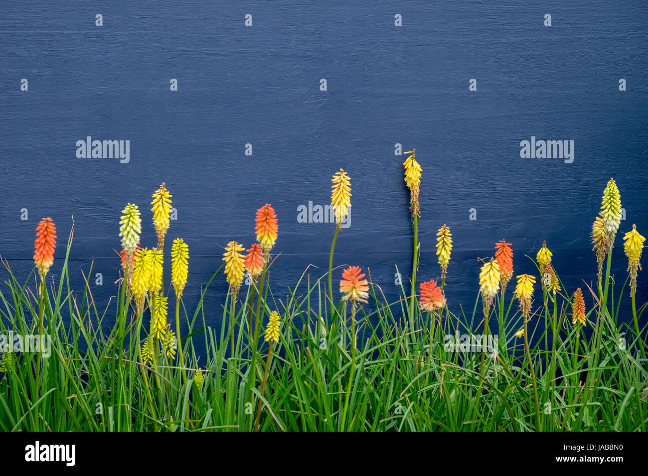 A Little Escape Stock Photo - Alamy