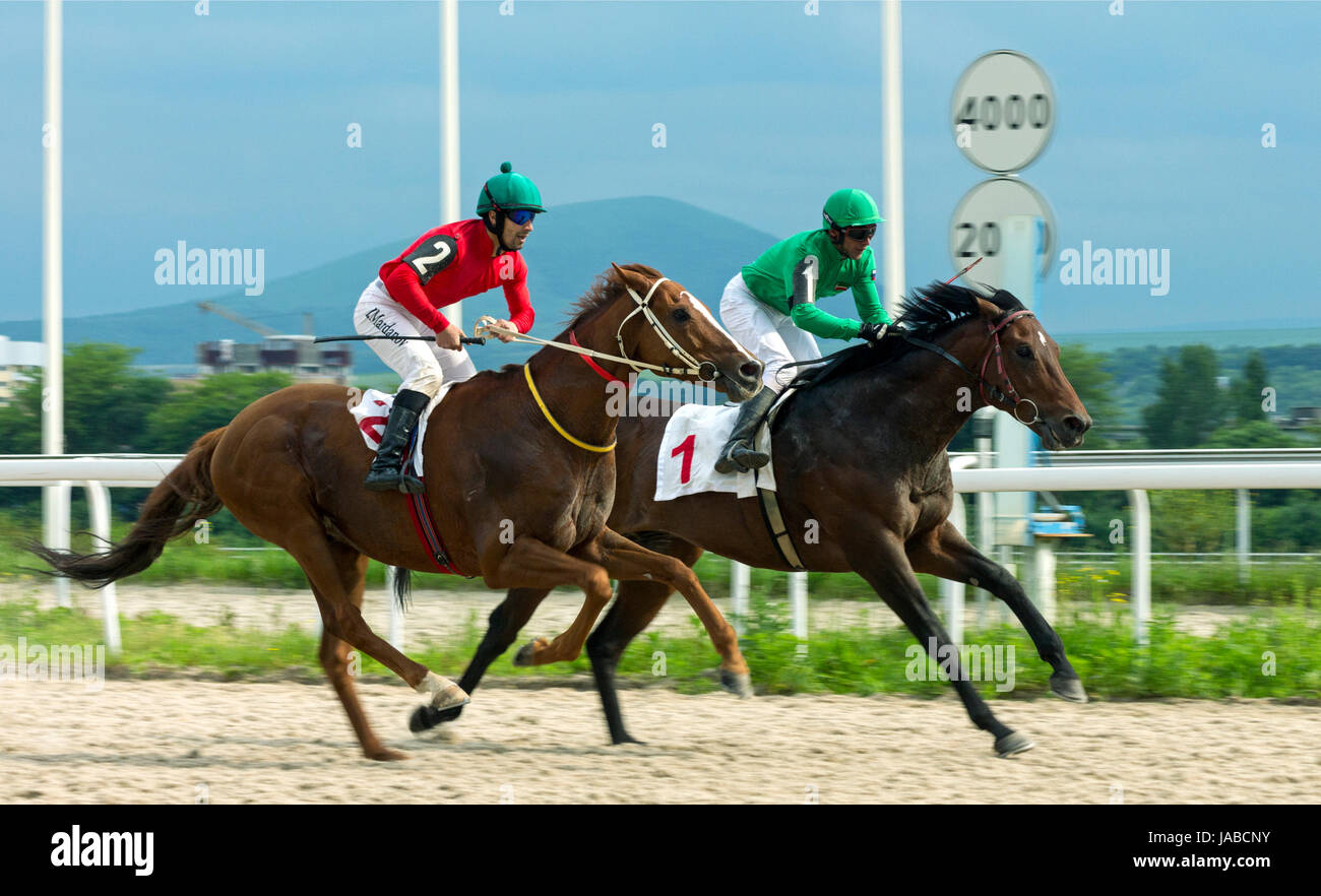 Finish horse racing Stock Photo - Alamy