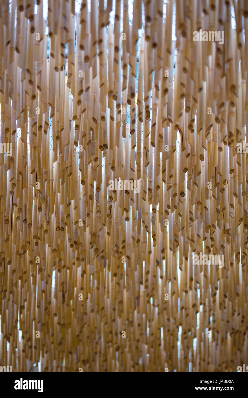 Background of dried bamboo hanging vertically Stock Photo - Alamy