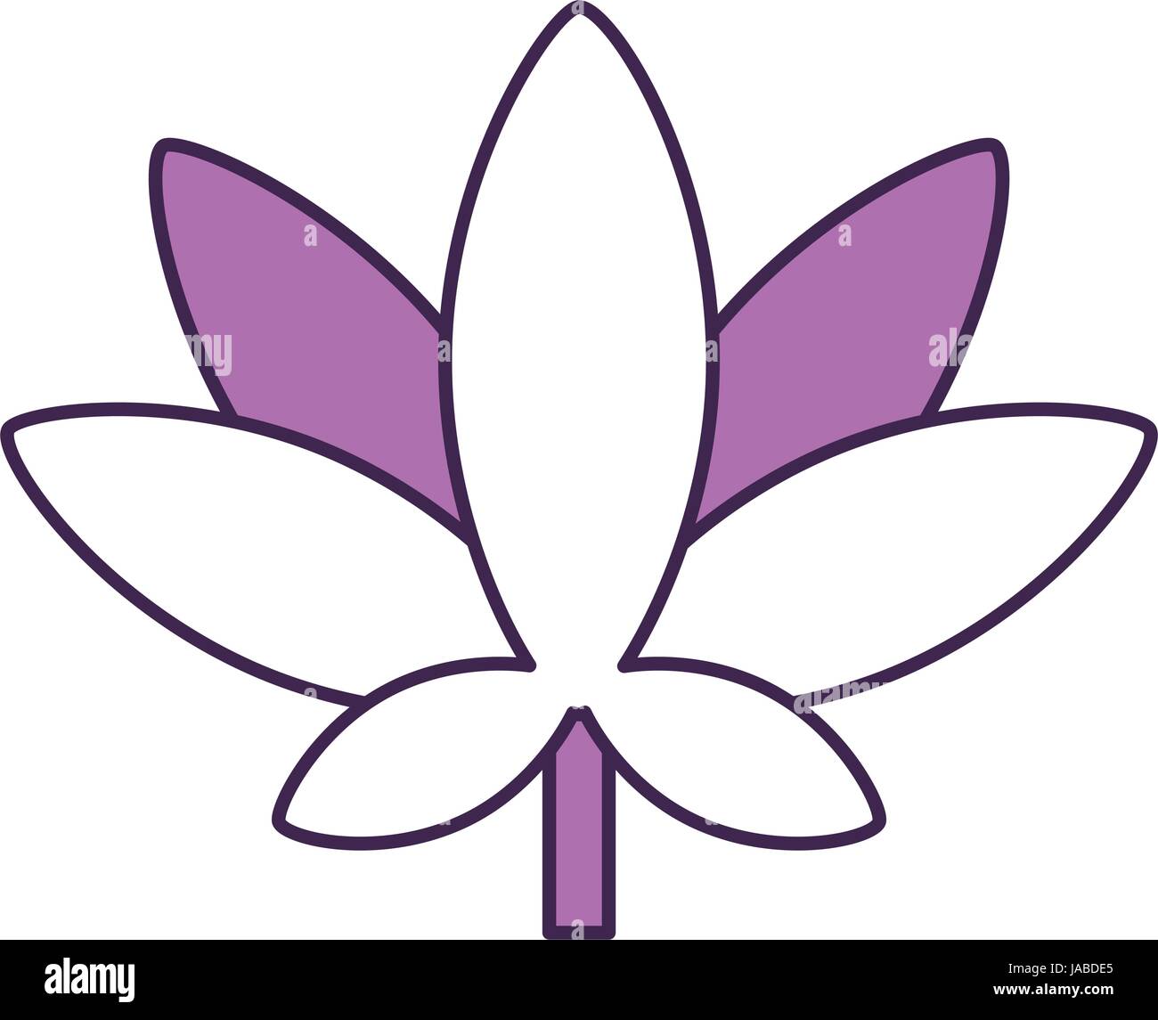 leaf plant decorative icon Stock Vector Image & Art - Alamy