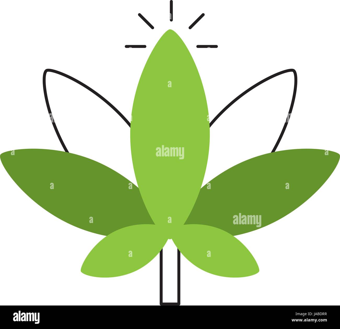 leaf plant decorative icon Stock Vector Image & Art - Alamy