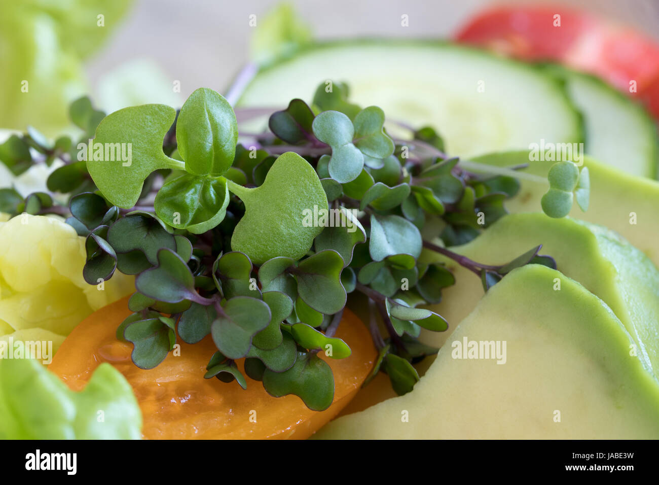 Basil microgreens hi-res stock photography and images - Alamy