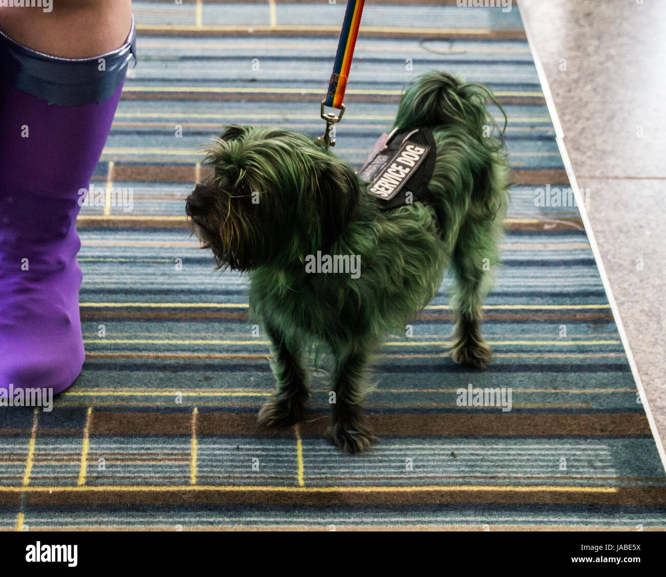 Anime boy hi-res stock photography and images - Alamy