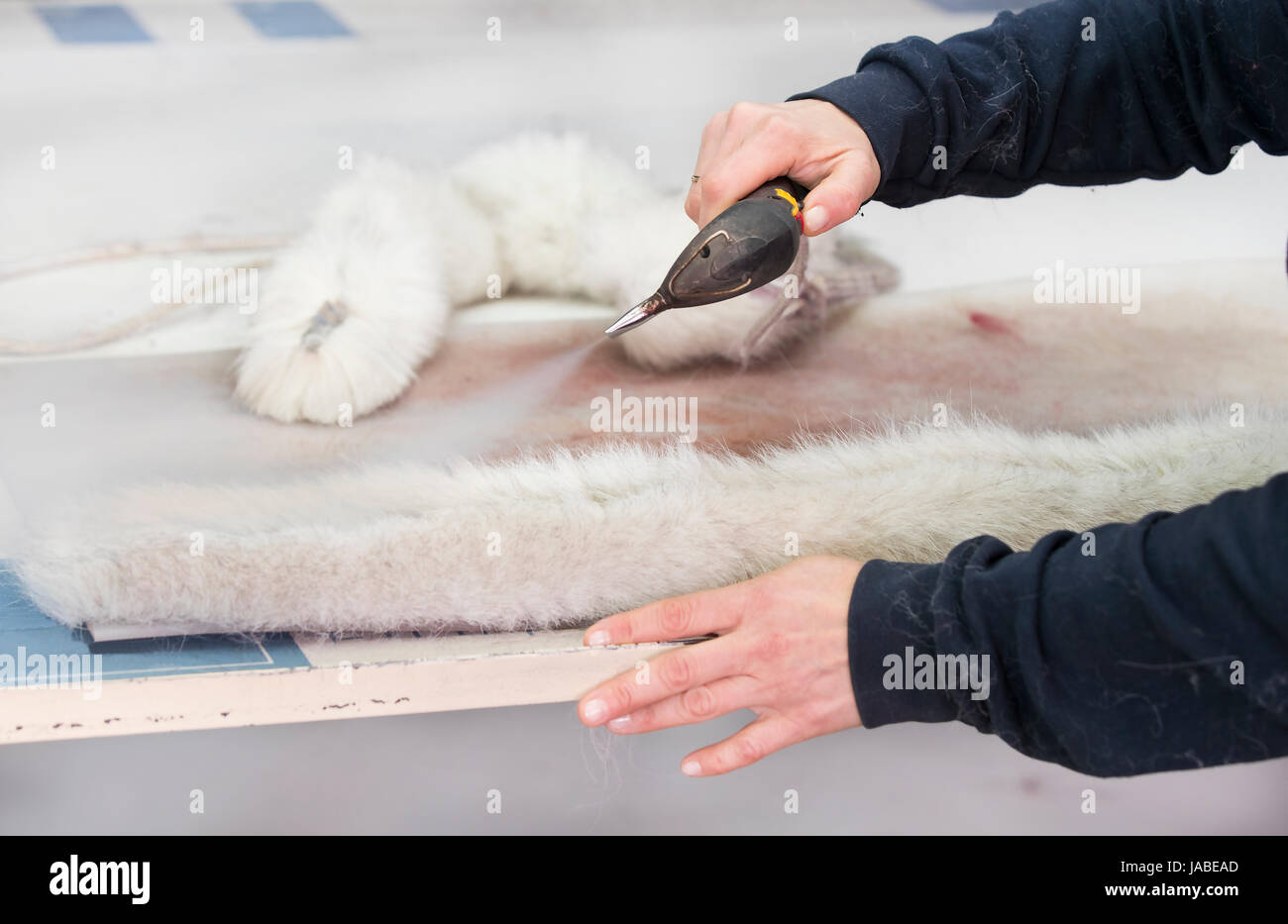 Fur sewing machine hi-res stock photography and images - Alamy