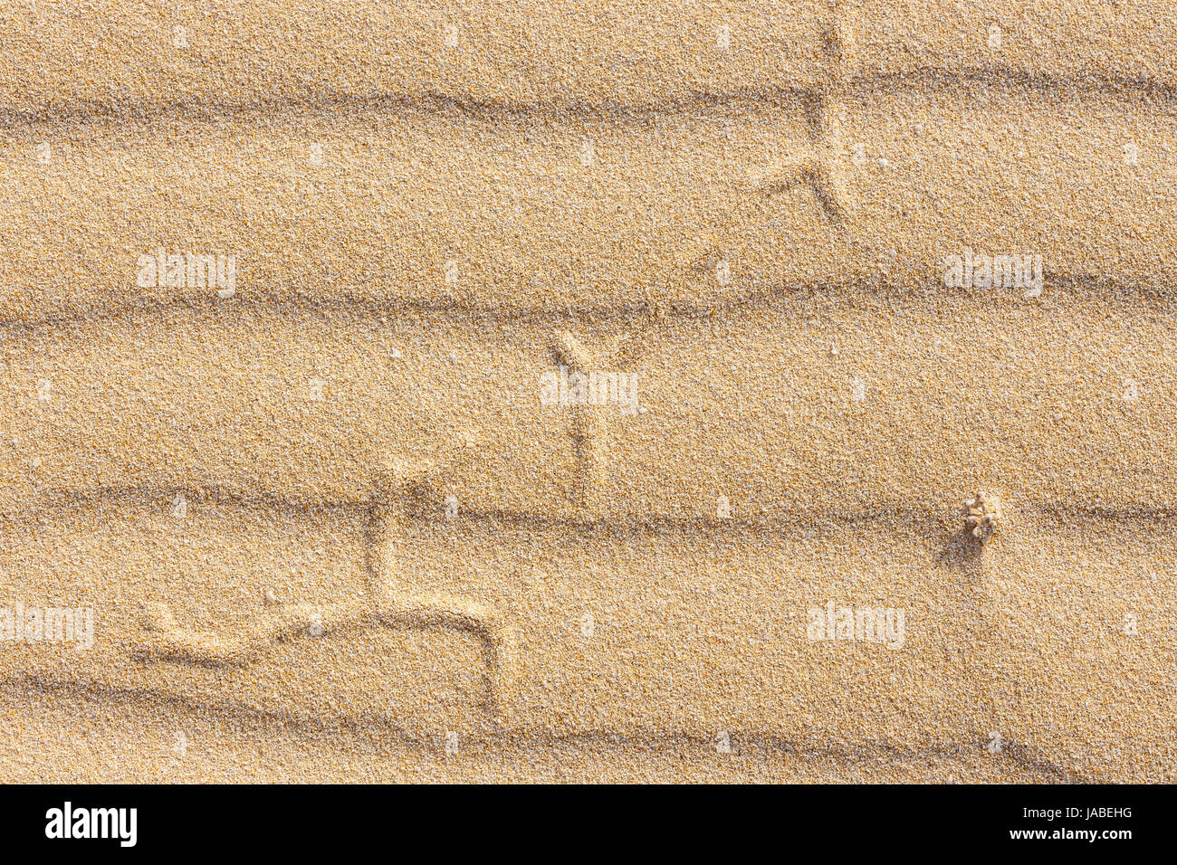Lines in the sand of a beach, close up Stock Photo - Alamy