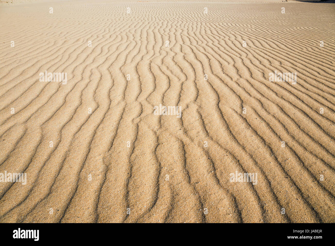 Lines in the sand of a beach, close up Stock Photo - Alamy