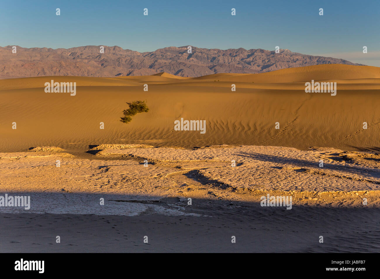 cracked clay, dried mud, Mesquite Flat Sand Dunes, Death Valley ...