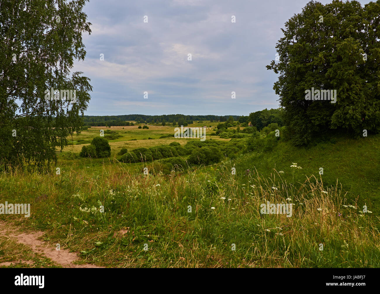 Russian provincial landscape. Summer, Pskov region, Russia, landscape ...