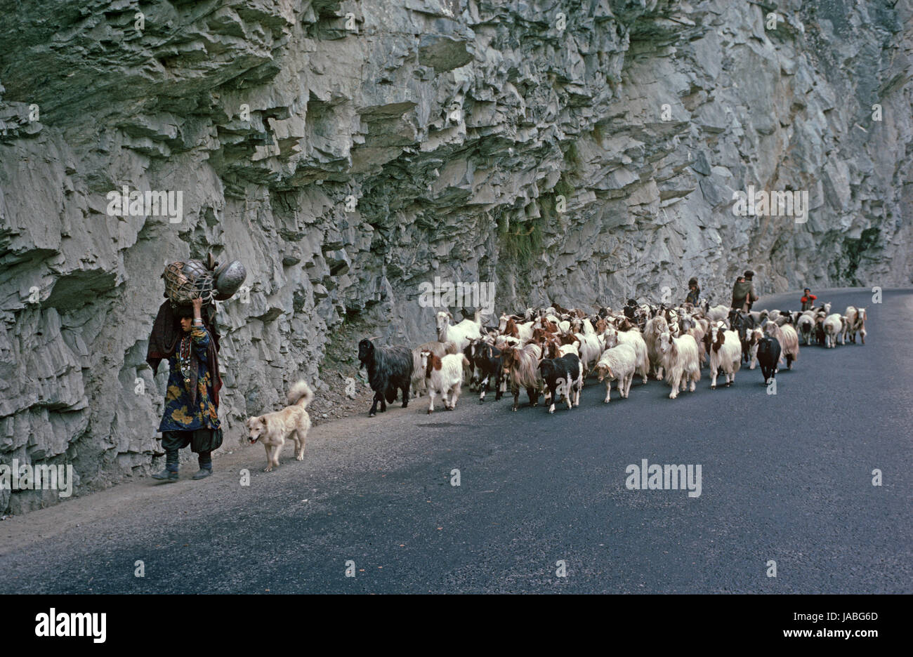 Tribesman family with goats on the Karakoram Highway, Gilgit-Baltistan ...