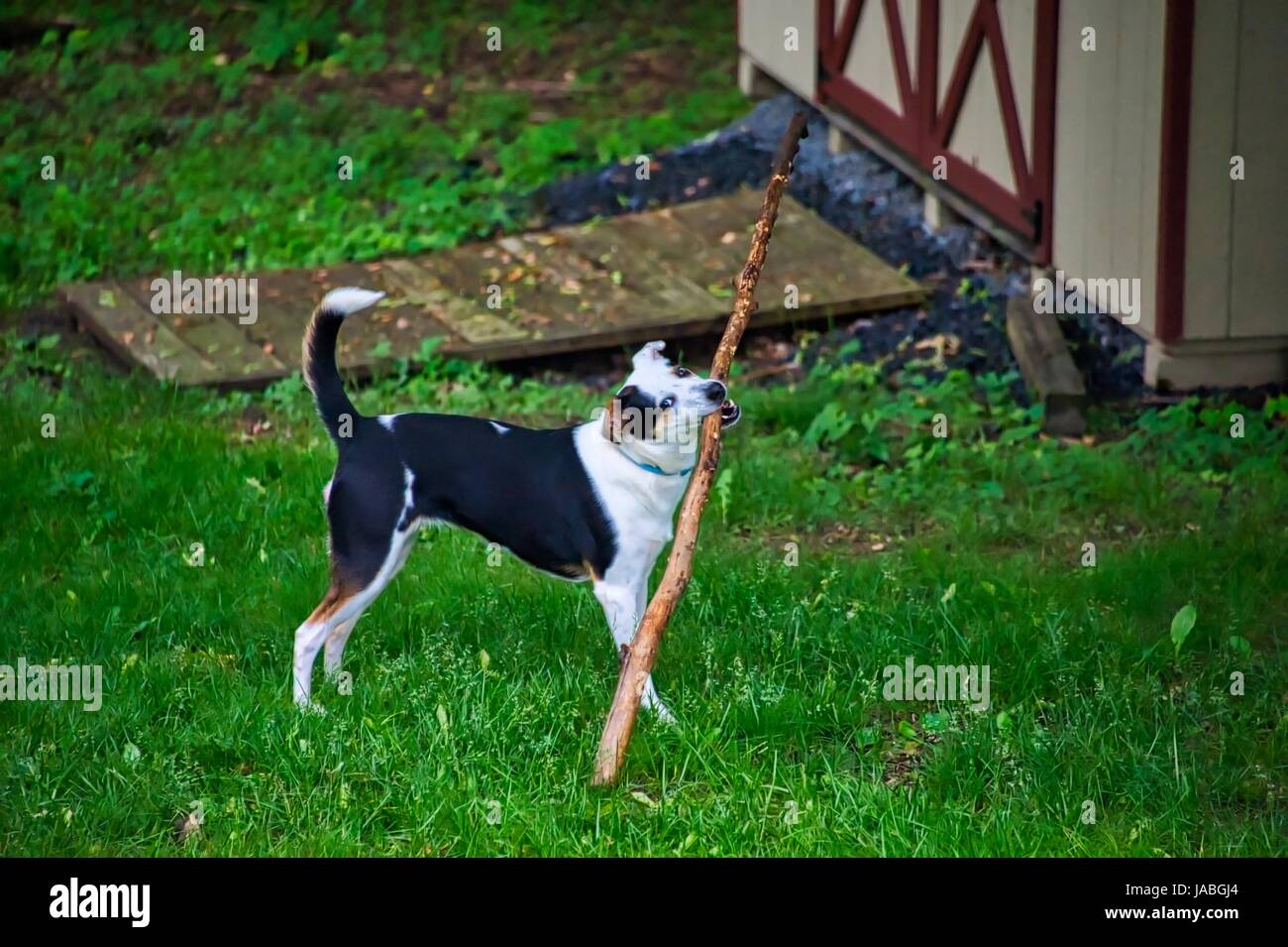 Good pals hi-res stock photography and images - Alamy