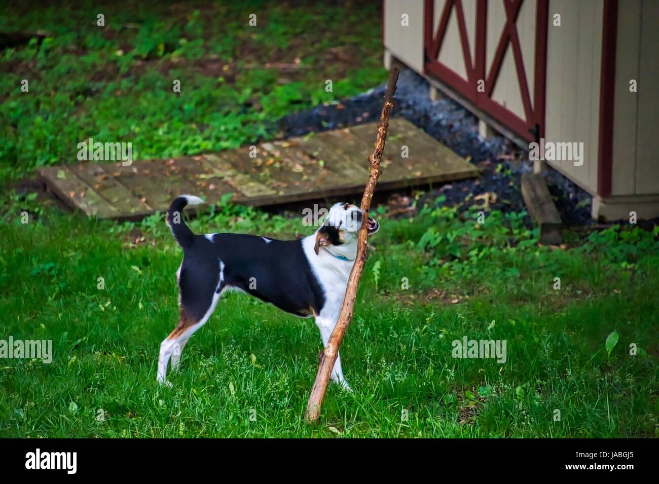 Good pals hi-res stock photography and images - Alamy