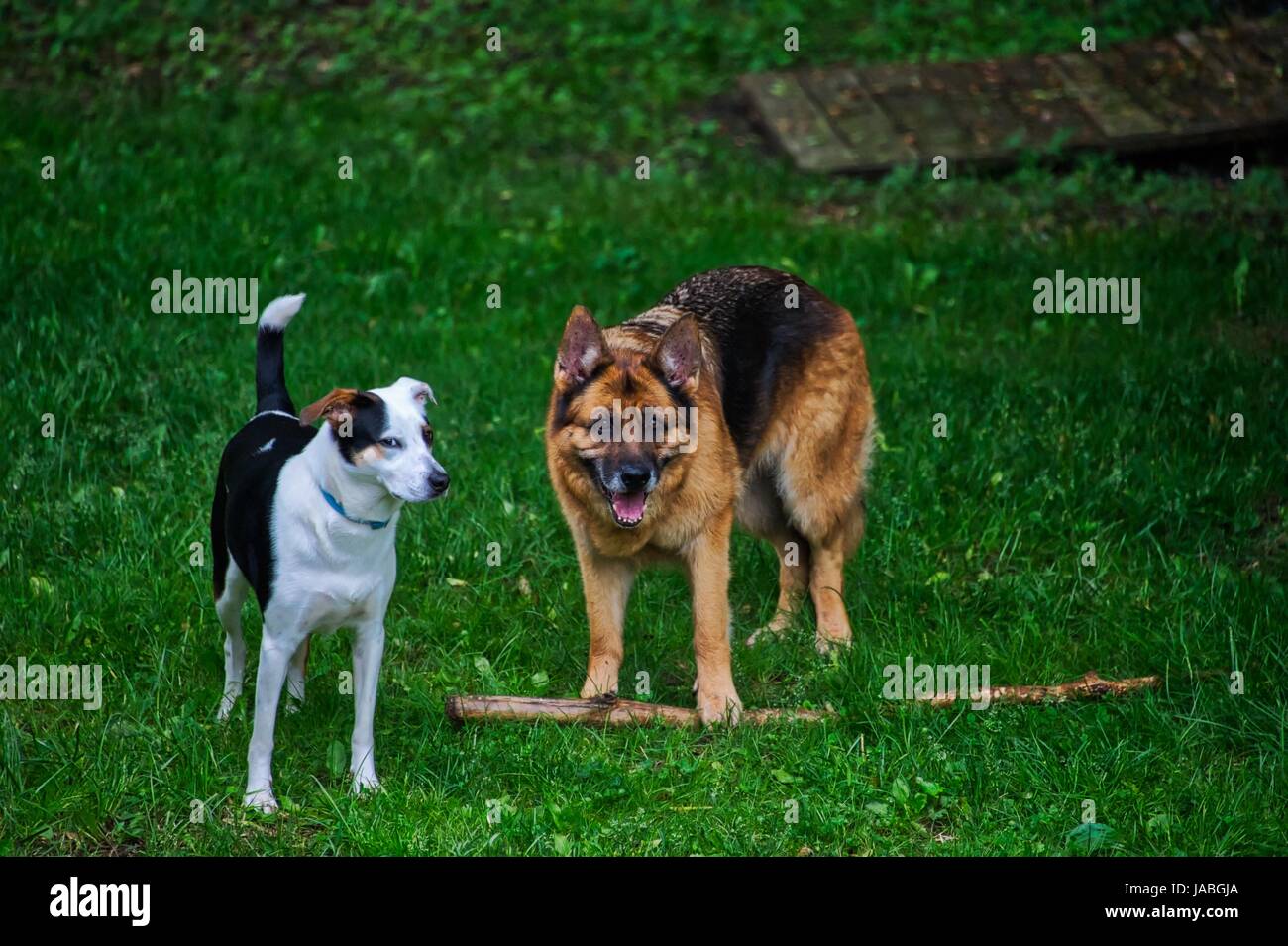 Good pals hi-res stock photography and images - Alamy