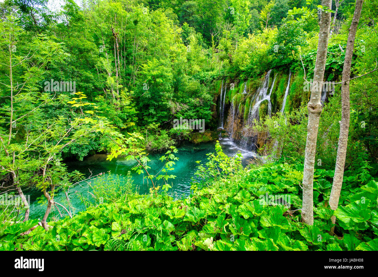 Plitvice Lakes, Croatia. Natural park with waterfalls and turquoise ...