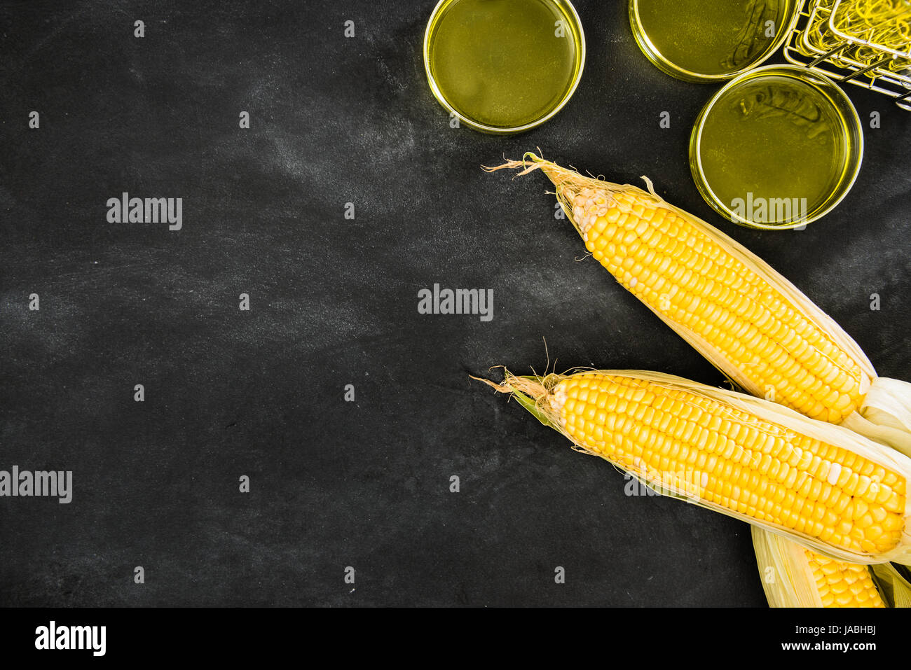 experiment and study research genetic improvement method to invention ...