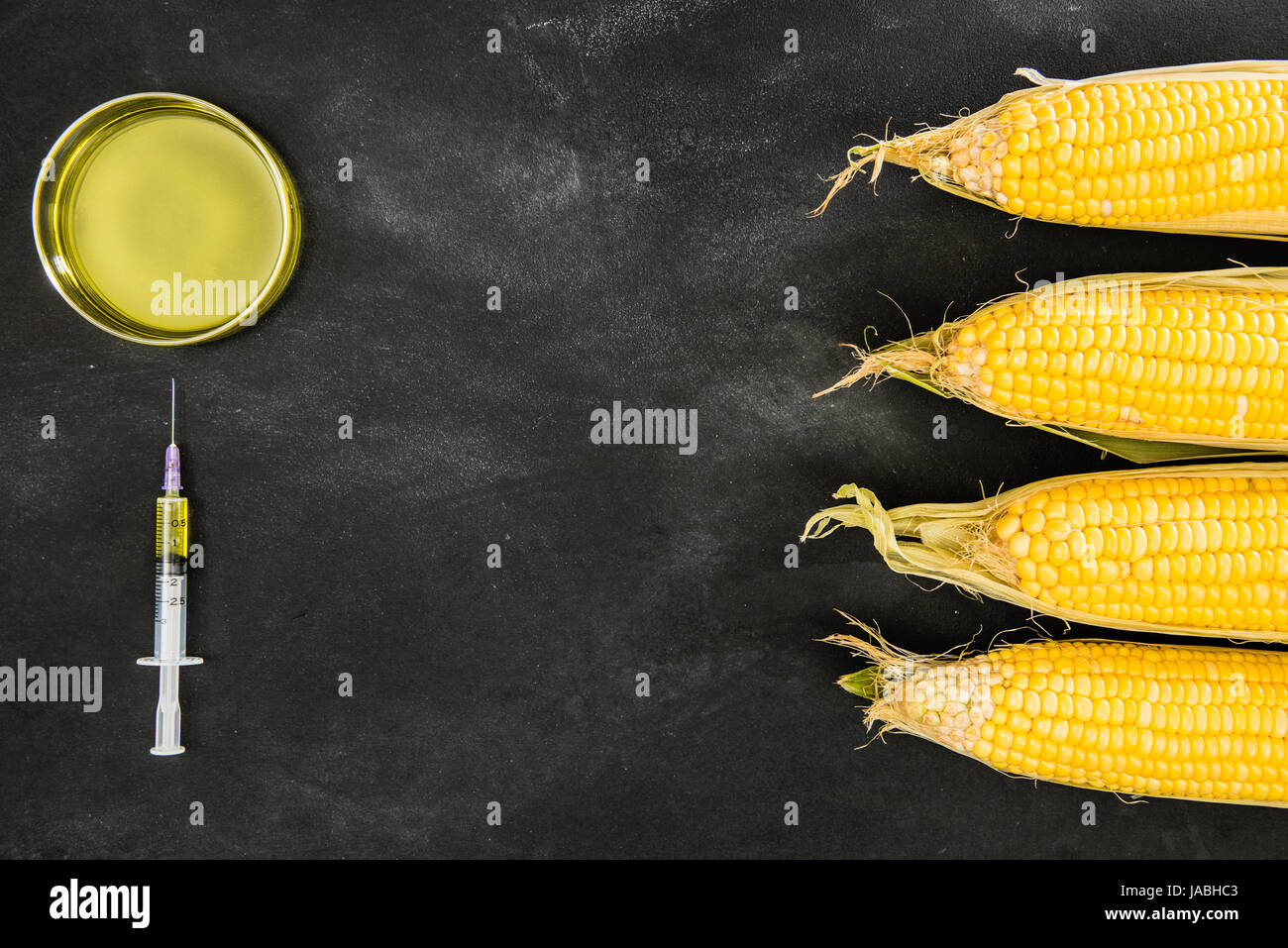 using the laboratory syringe for gene improvement manufacture corn ...