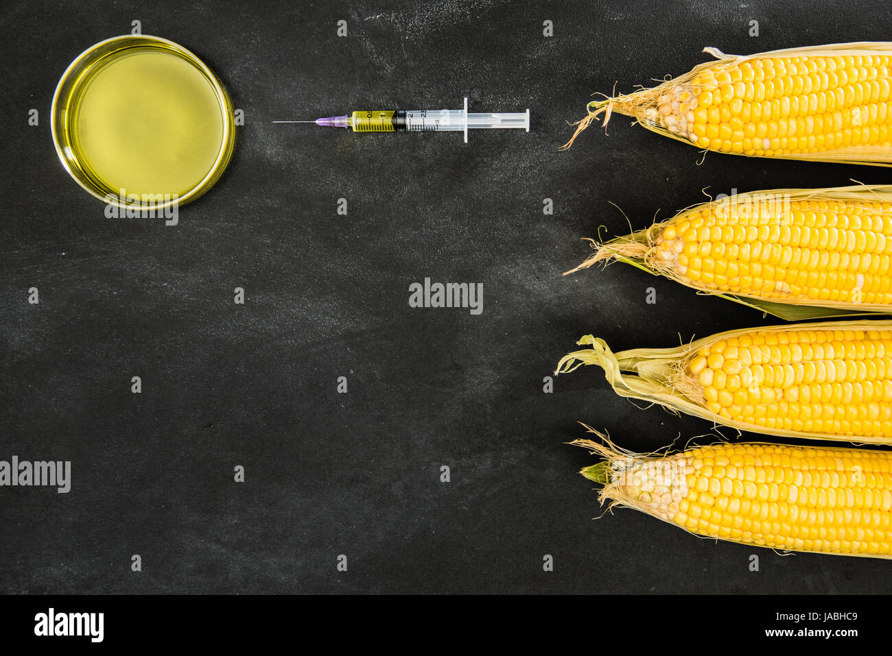 maize genetic improvement through the syringe injection technology ...