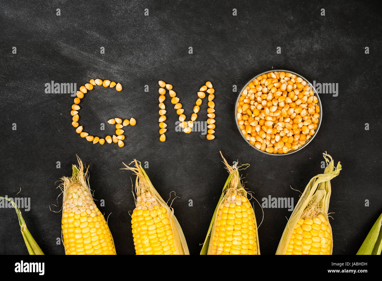 gmo food concepts with many gold corn particles shape and mature maize ...