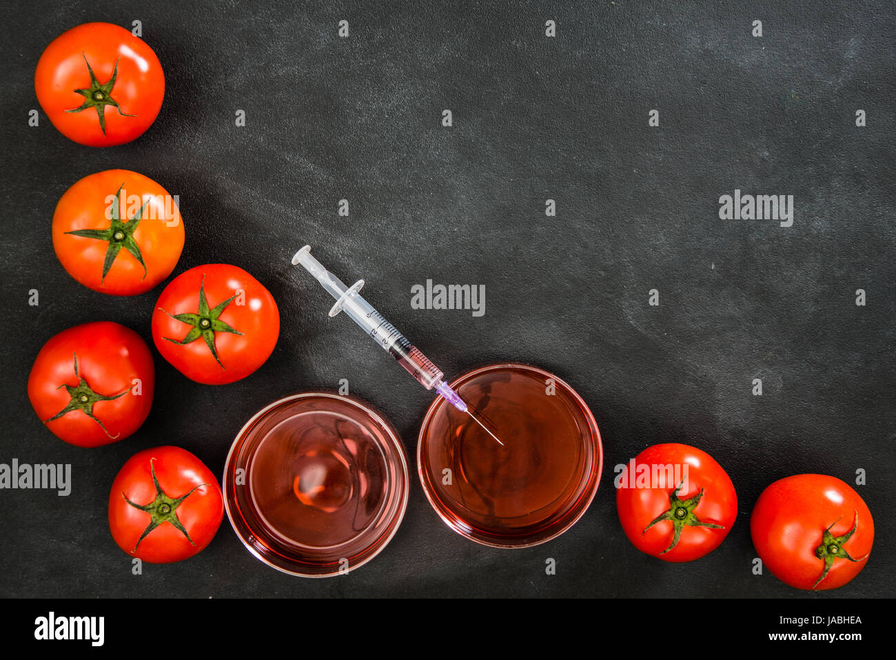 with test tube injection of scientific ingredients in tomatoes making ...