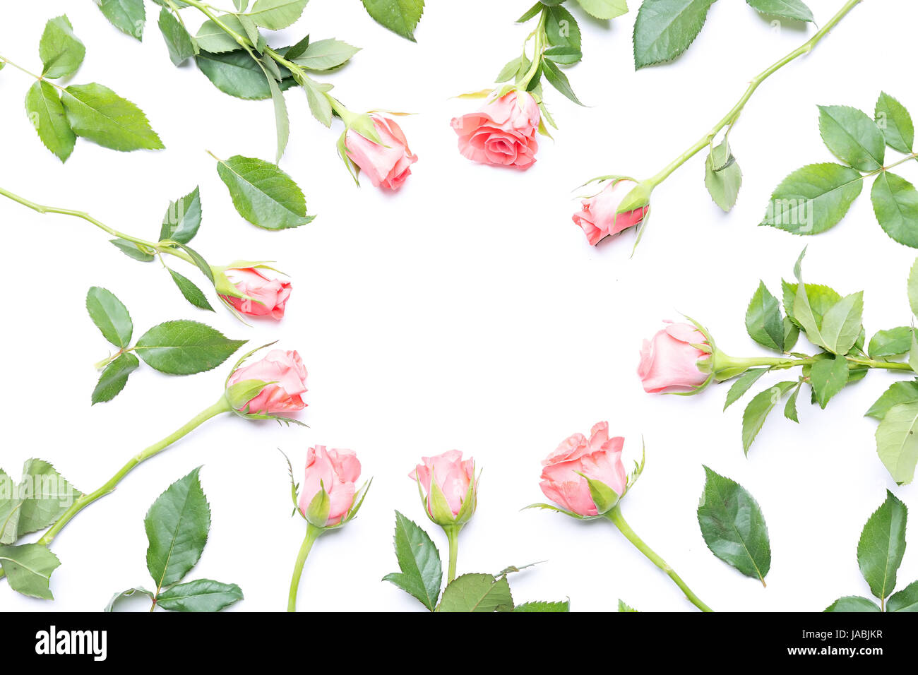 roses isolated on the white background, flower composition Stock Photo ...