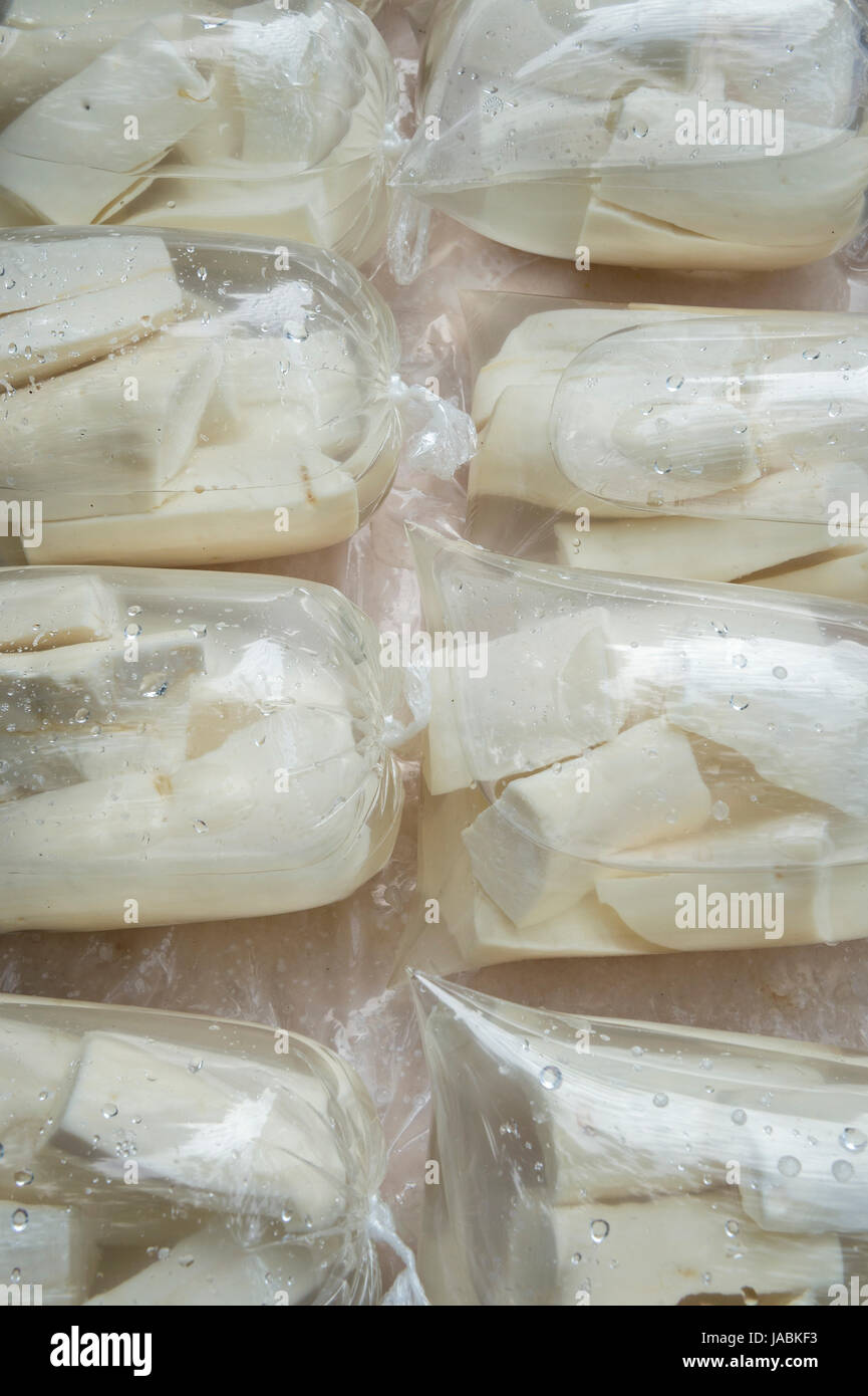 Fresh cassava (manioc) sections, kept fresh in bags of water, stacked ...