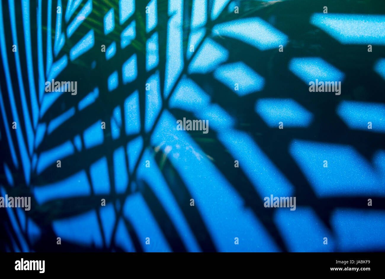 Abstract palm frond shadows on shiny metallic blue surface Stock Photo ...