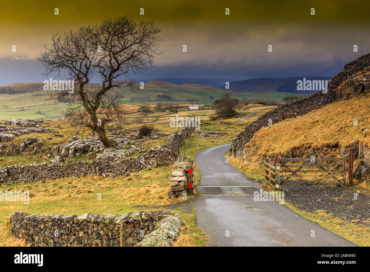Hill walking above Settle in the Yorkshire Dales Stock Photo - Alamy