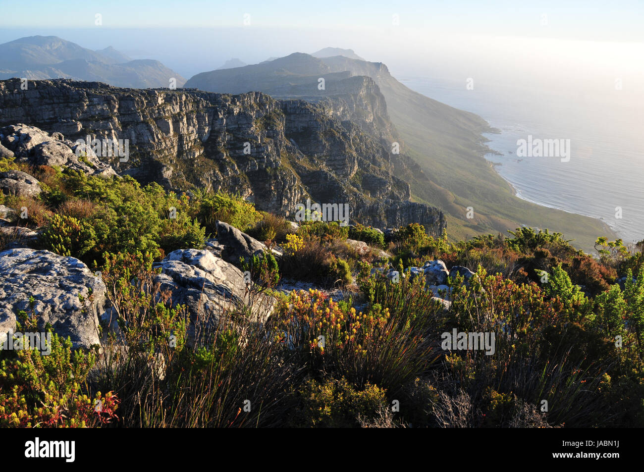 Table Mountain in Mist Stock Photo - Alamy