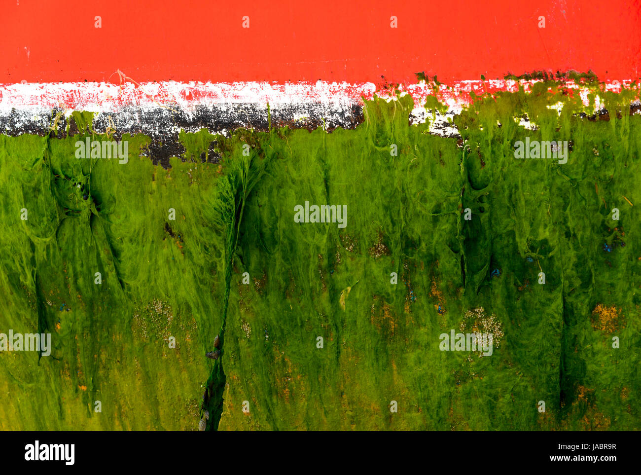 Algae on boat hull in harbour at low tide. Tenby. Pembrokeshire. UK ...