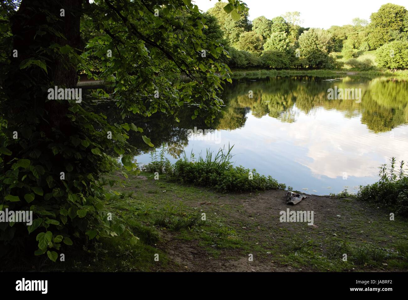 Lake at Heywood Park - Queens park Heywood - Manchester - UK Stock ...
