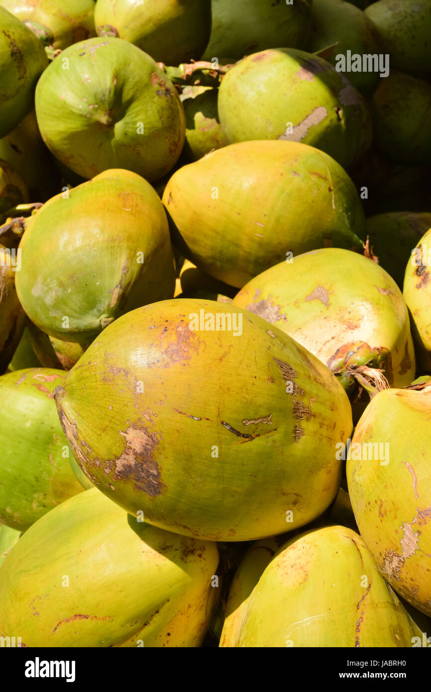 Group of coconuts Stock Photo - Alamy