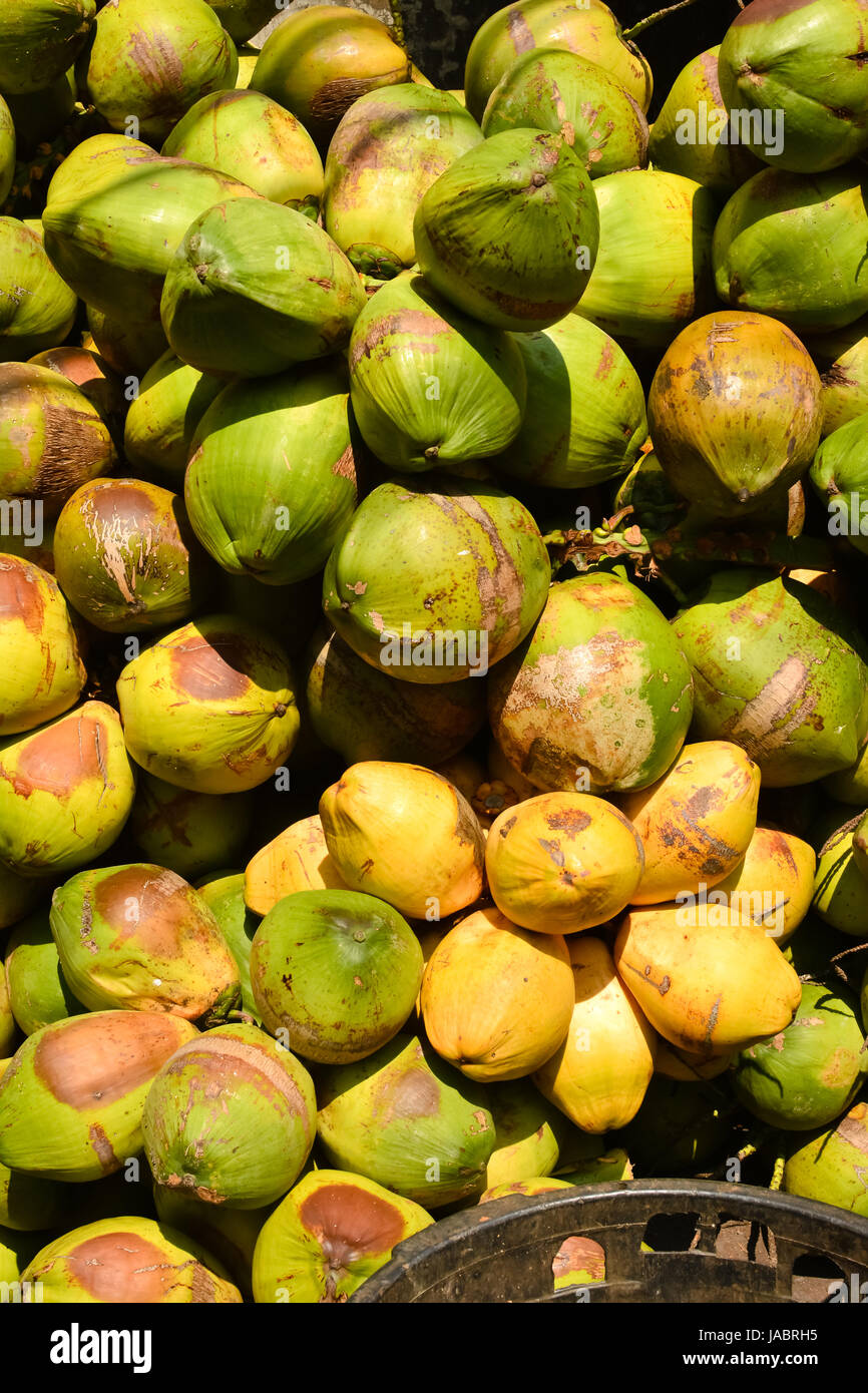 Group of coconuts Stock Photo - Alamy