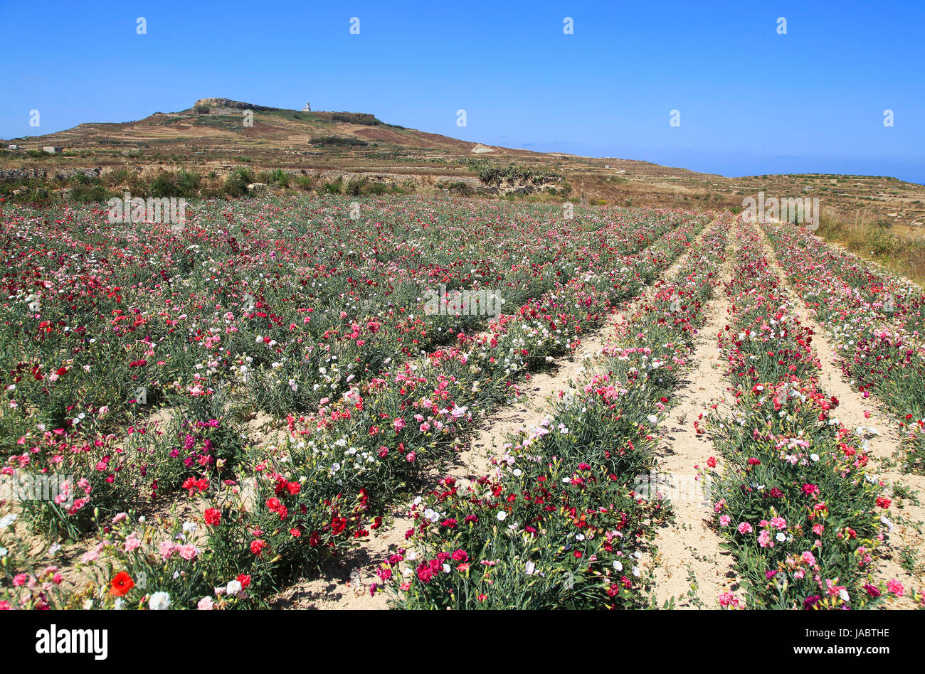Gordon lighthouse hi-res stock photography and images - Alamy