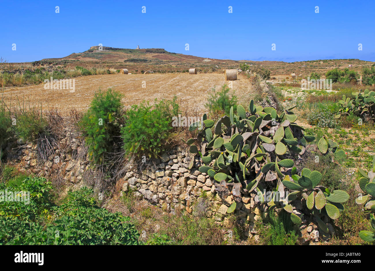 Ta gurdan lighthouse gozo malta hi-res stock photography and images - Alamy