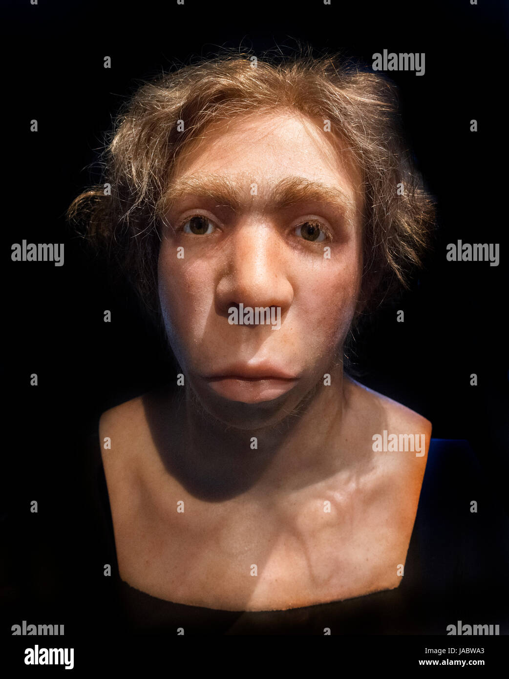 Neanderthal men hi-res stock photography and images - Alamy