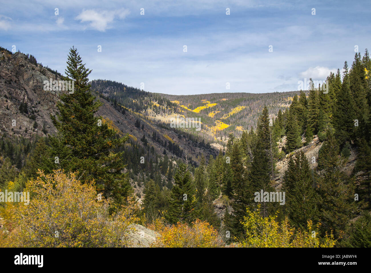 Fall color along Colorado Highway 14 Stock Photo - Alamy