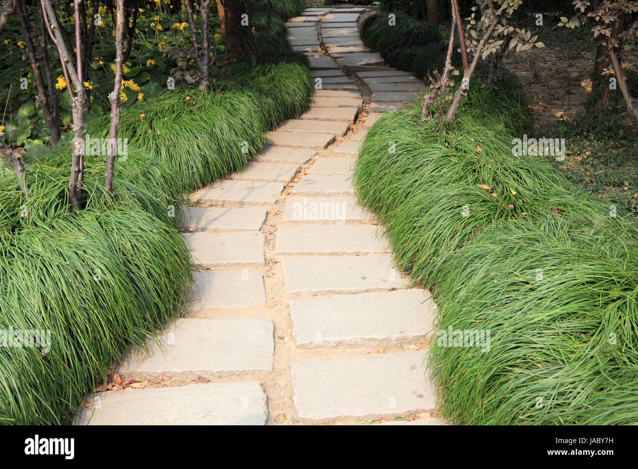 Walkway in a city park. Shanghai, China Stock Photo - Alamy