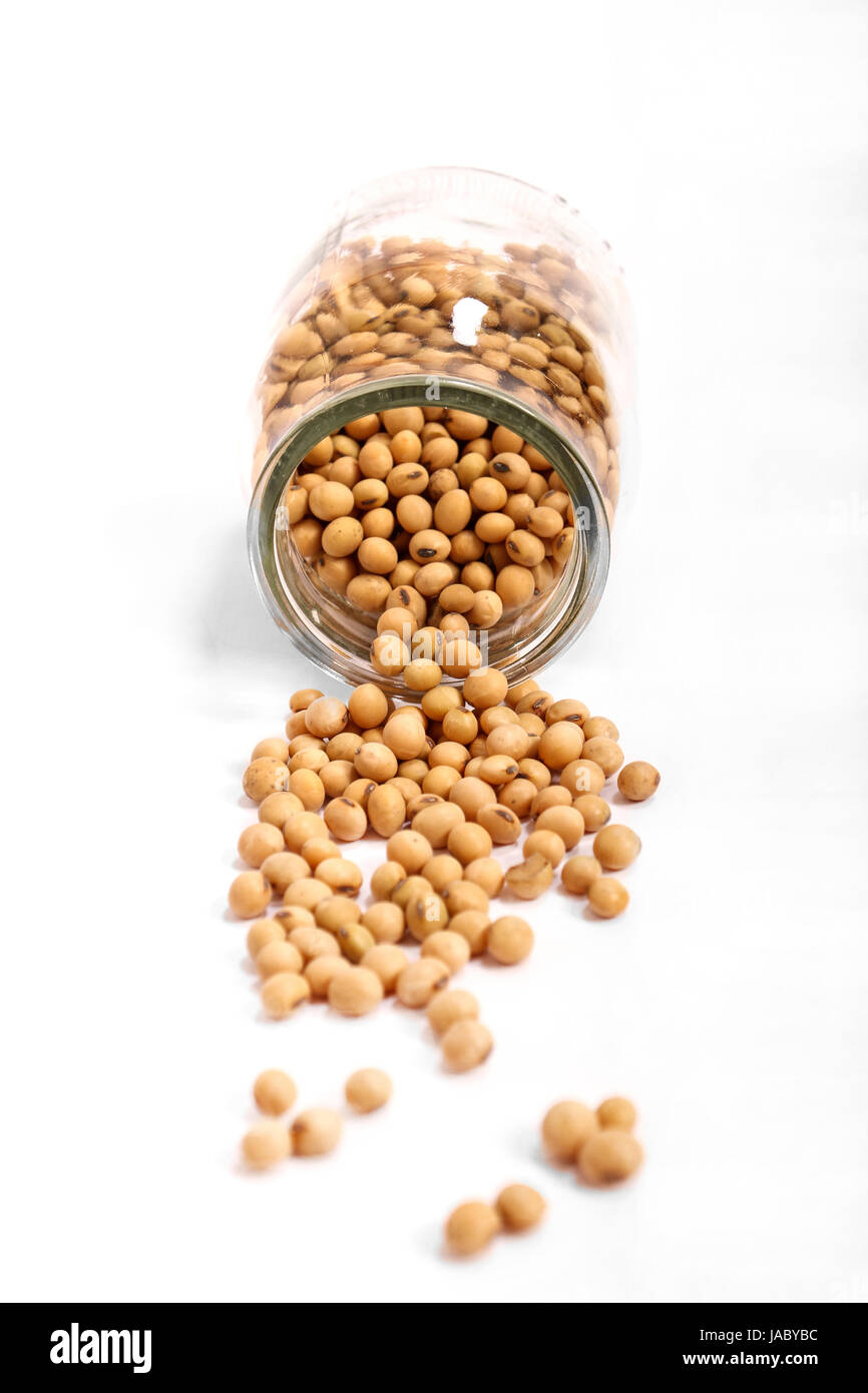 Lots of soybean in a glass pot Stock Photo - Alamy