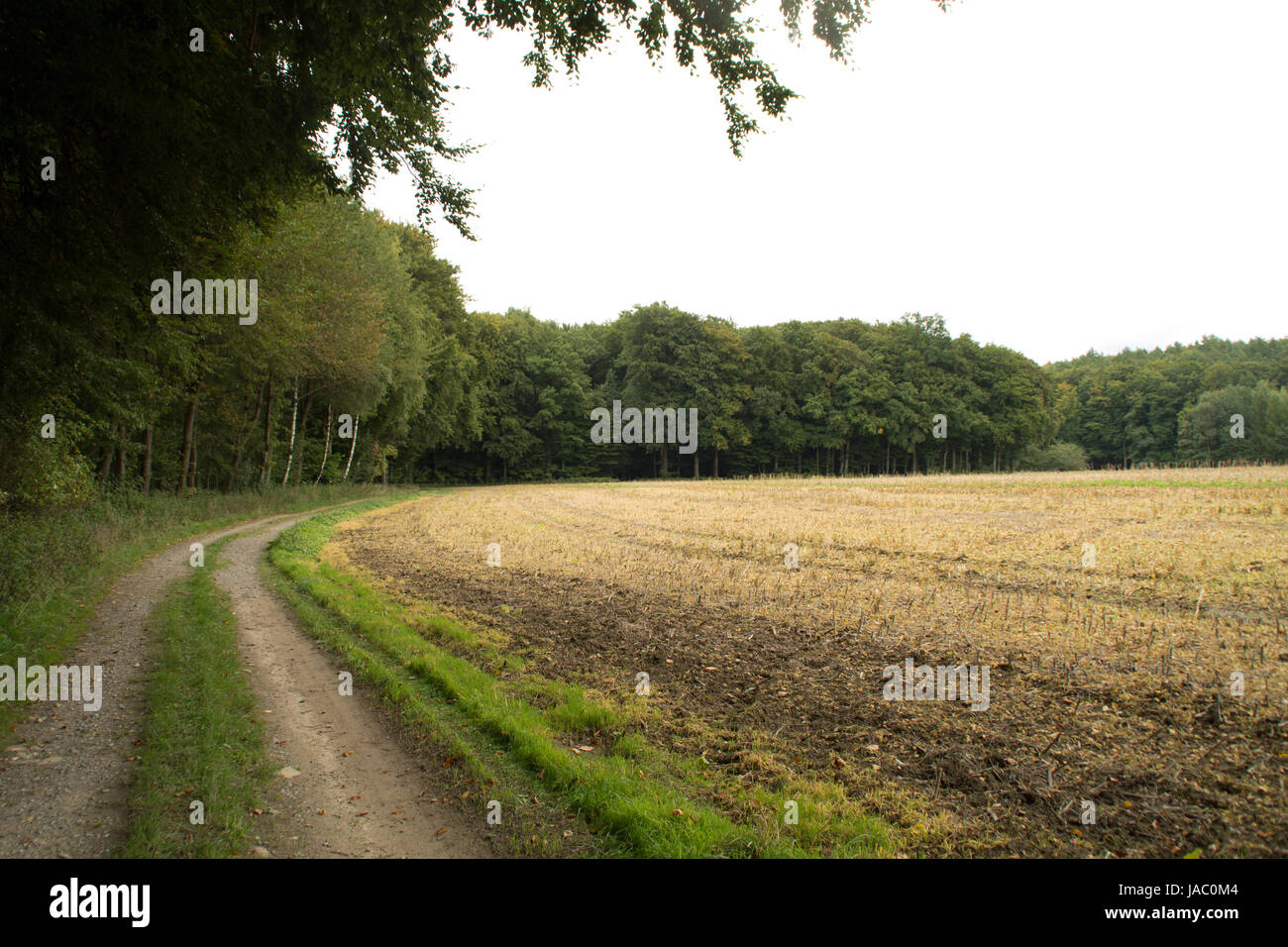 a dirt road in fall Stock Photo - Alamy