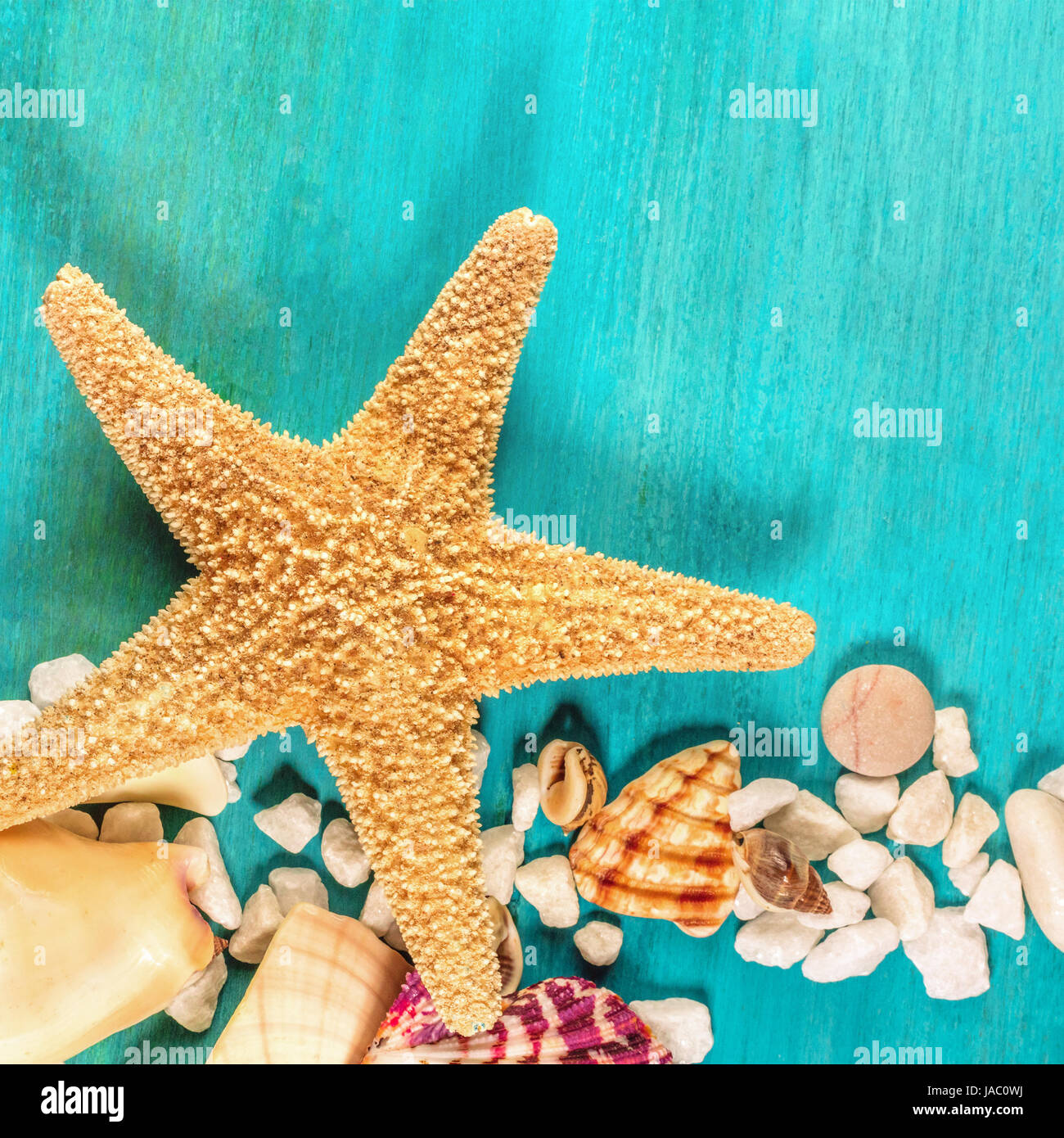 Starfish, shells, and pebbles on vibrant turquoise background Stock ...