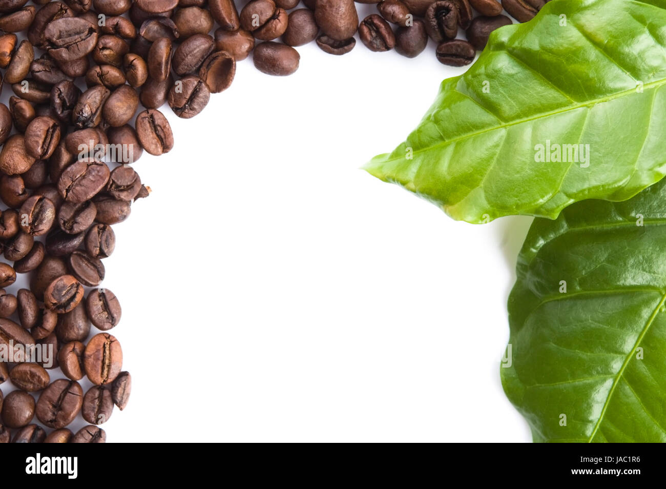 coffee grains and leaves Stock Photo - Alamy