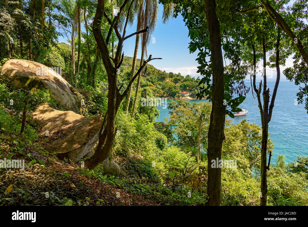 Rainforest outdoor hi-res stock photography and images - Alamy