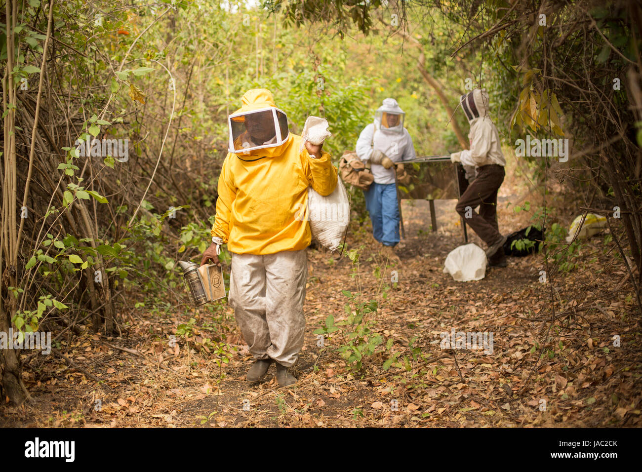 Beekeeping suit hi-res stock photography and images - Alamy