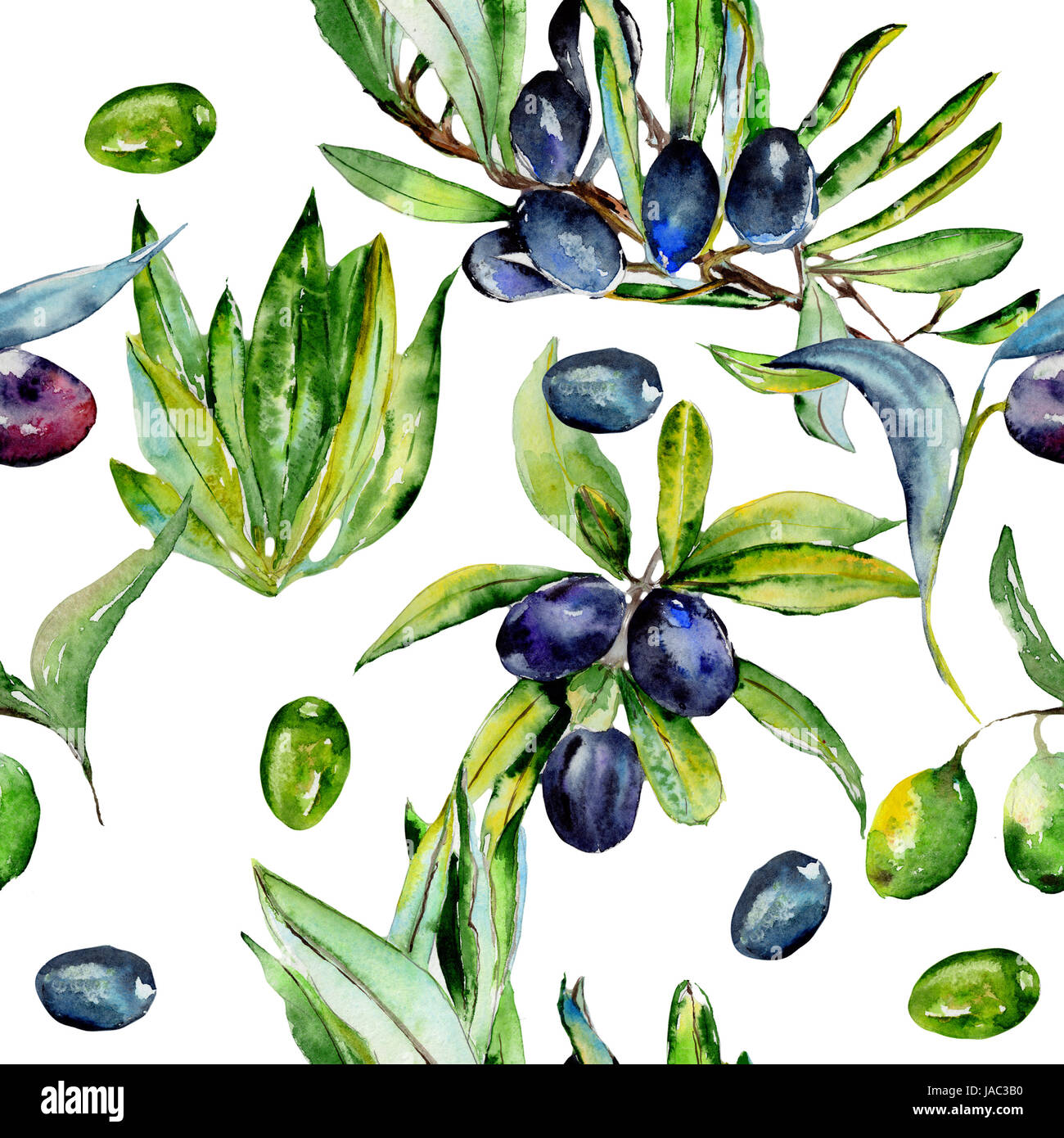 Olive tree pattern in a watercolor style isolated Stock Photo - Alamy