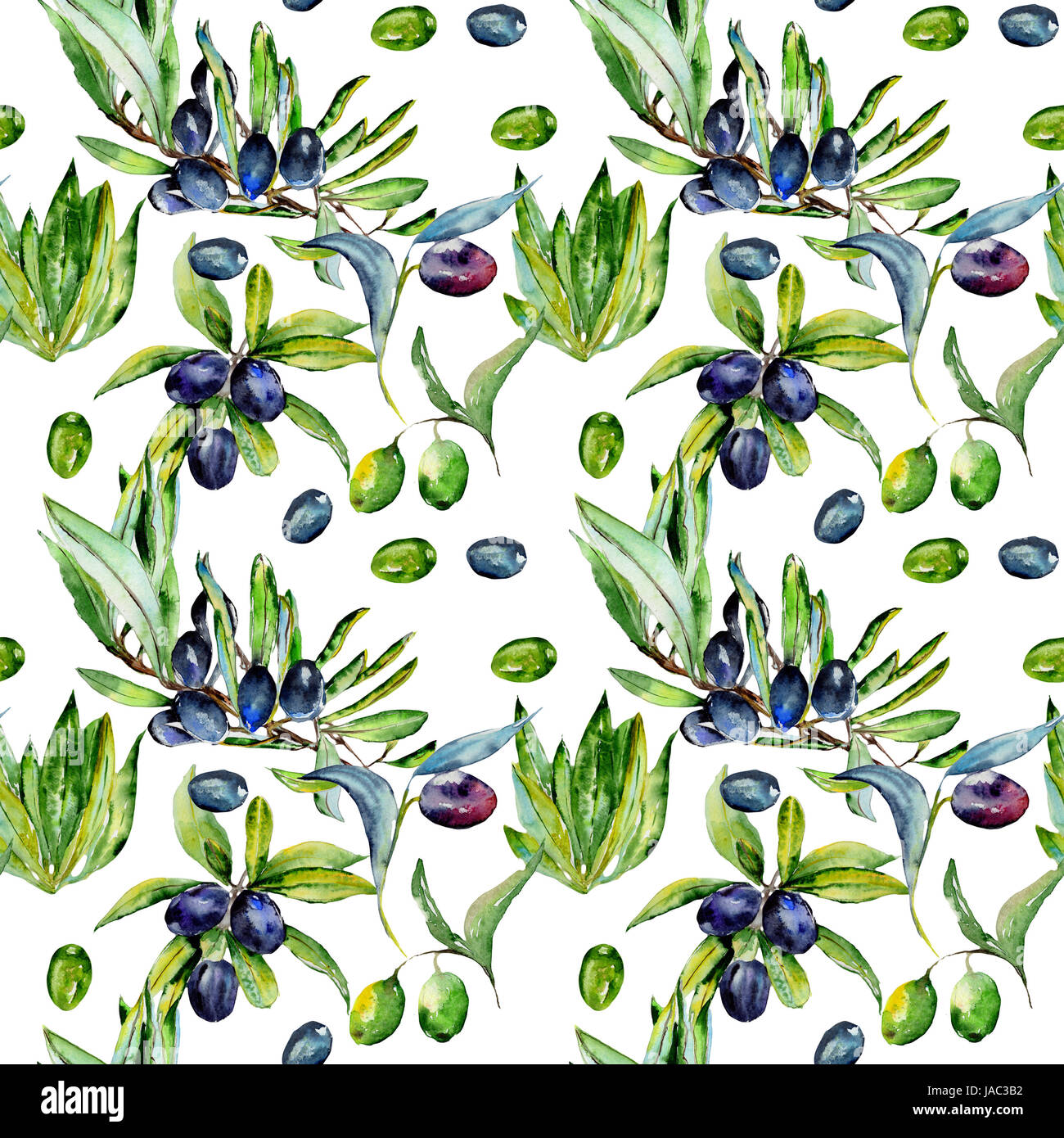 Olive tree pattern in a watercolor style isolated Stock Photo - Alamy