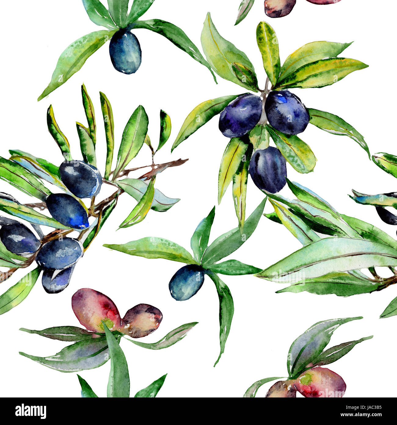 Olive tree pattern in a watercolor style isolated Stock Photo - Alamy