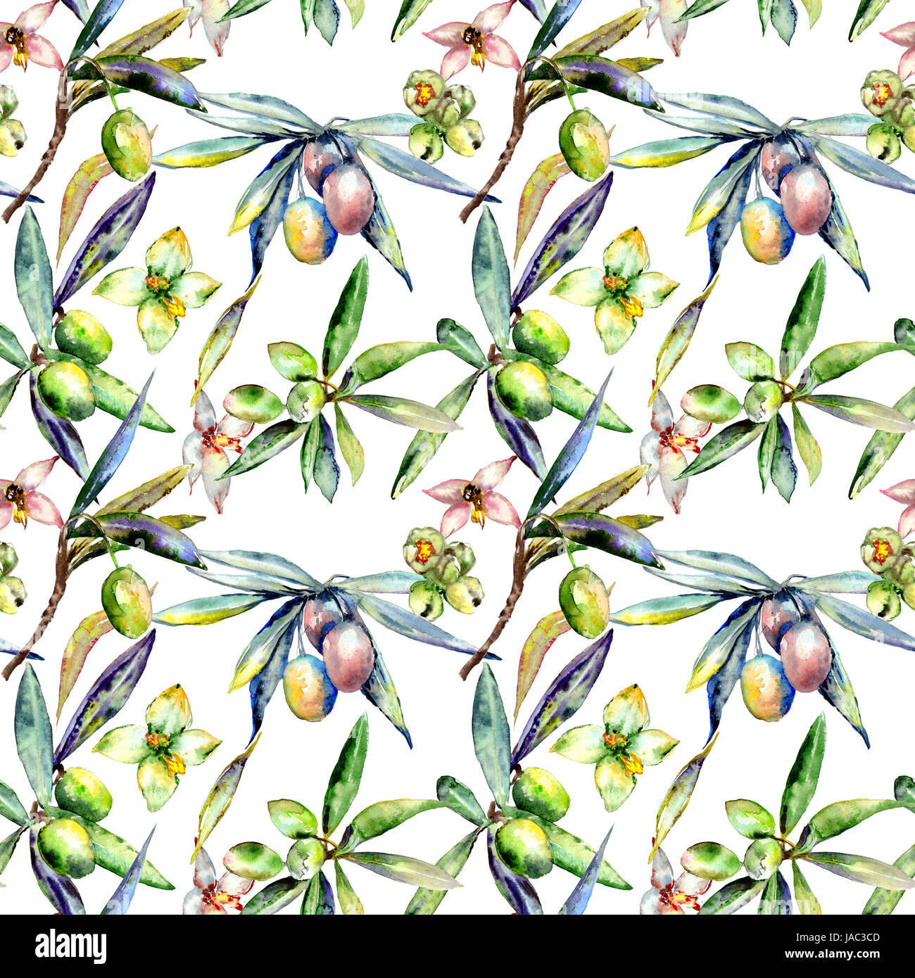 Olive tree pattern in a watercolor style isolated Stock Photo - Alamy