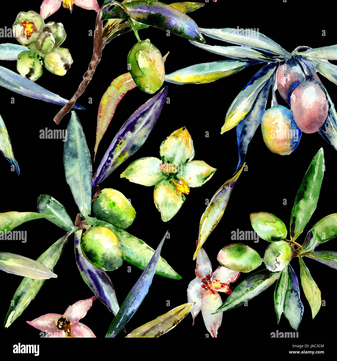 Olive tree pattern in a watercolor style isolated Stock Photo - Alamy