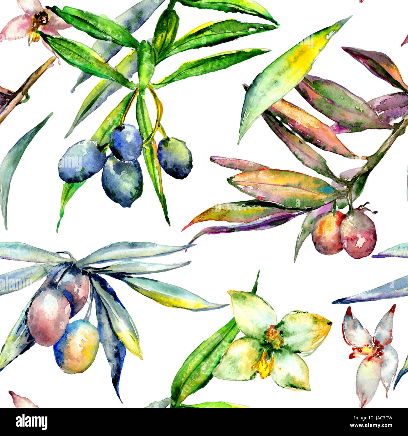Olive tree pattern in a watercolor style isolated Stock Photo - Alamy